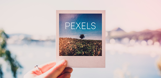 Pexels for PC - Free Download & Install on Windows PC, MAC